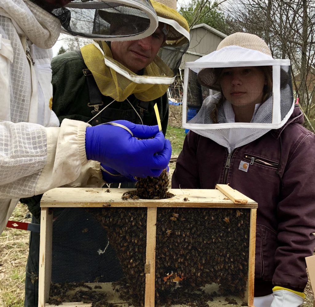 Seasonal Management | Warren County Ohio Beekeepers